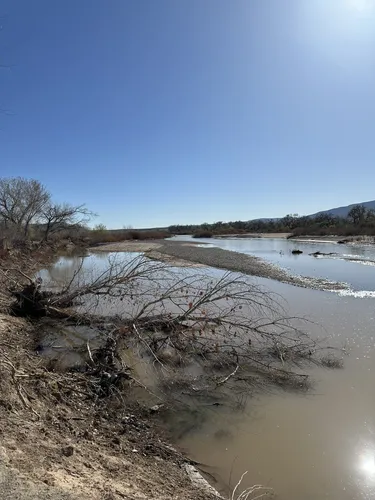 Best Forest Trails in Rio Rancho | AllTrails