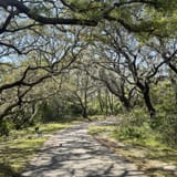 Coastal Anclote Trail, Florida - 239 Reviews, Map | AllTrails