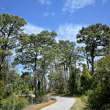 Coastal Anclote Trail, Florida - 239 Reviews, Map | AllTrails