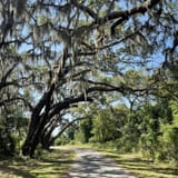 Coastal Anclote Trail, Florida - 239 Reviews, Map | AllTrails