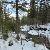 Heart Creek Trail, Alberta, Canada - 3,455 Reviews, Map | AllTrails