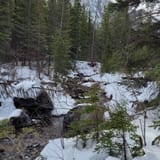 Heart Creek Trail, Alberta, Canada - 3,455 Reviews, Map | AllTrails
