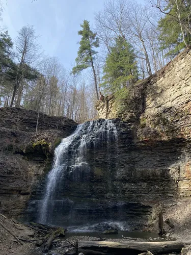 Best Forest Trails in Chedoke Park | AllTrails