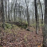 Indian Point Trail, Illinois - 1,661 Reviews, Map | AllTrails