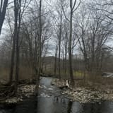 Nonnewaug Falls Trail, Connecticut - 441 Reviews, Map | AllTrails