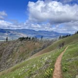 Weldon Wagon Road Trail, Washington - 532 Reviews, Map | AllTrails