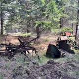 Weldon Wagon Road Trail, Washington - 532 Reviews, Map | AllTrails