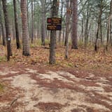 Whispering Pines Trail, Missouri - 1,374 Reviews, Map | AllTrails