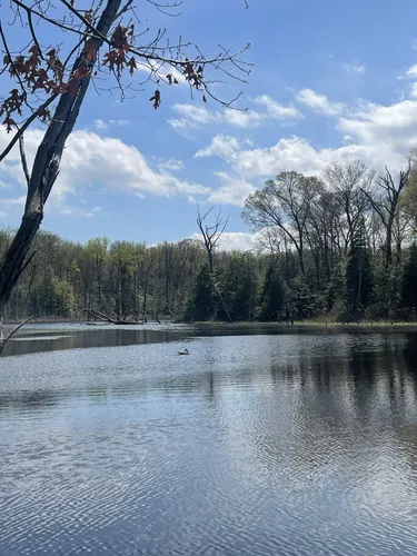 Best Easy Trails in North Point State Park | AllTrails