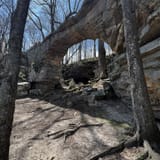 Sewanee Natural Bridge, Tennessee - 200 Reviews, Map | AllTrails