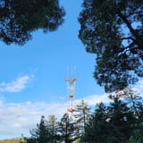 Mount Sutro Loop, California - 2,184 Reviews, Map | AllTrails