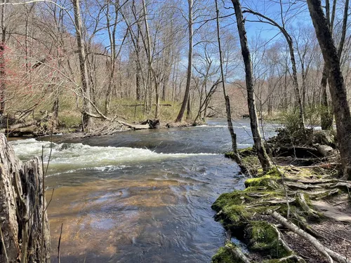 Best Short Trails in Scantic River State Park | AllTrails