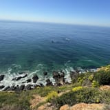 Point Dume Cove Trail, California - 1,719 Reviews, Map | AllTrails