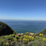 Point Dume Cove Trail, California - 1,719 Reviews, Map | AllTrails