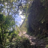 Cocora Valley Loop, Quindío, Colombia - 201 Reviews, Map | AllTrails