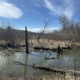 Old Cedar Avenue Bridge, Long Meadow Lake and Bluff Trail, Minnesota ...