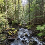 Upper Big Creek Loop, Washington - 2,707 Reviews, Map | AllTrails