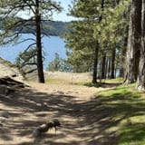 Tubbs Hill, Idaho - 4,046 Reviews, Map | AllTrails