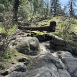 Tubbs Hill, Idaho - 4,033 Reviews, Map | AllTrails