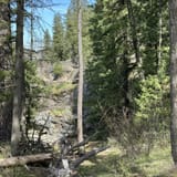 Tubbs Hill, Idaho - 4,033 Reviews, Map | AllTrails