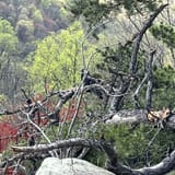 Raven Rocks via Appalachian Trail, Virginia - 5,941 Reviews, Map ...
