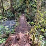 Northern State Recreation Area Loop, Washington - 578 Reviews, Map ...