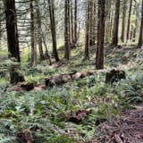 Northern State Recreation Area Loop, Washington - 578 Reviews, Map ...