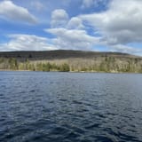 Benedict Pond Loop Trail, Massachusetts - 695 Reviews, Map | AllTrails