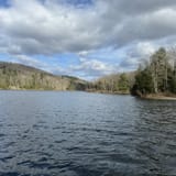 Benedict Pond Loop Trail, Massachusetts - 695 Reviews, Map | AllTrails