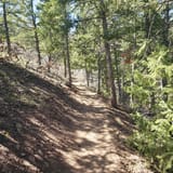 Carpenter Peak Trail, Colorado - 3,341 Reviews, Map | AllTrails