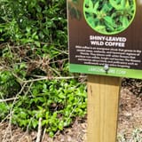 Largo Nature Preserve Loop, Florida - 402 Reviews, Map | AllTrails