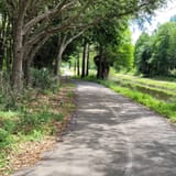 Largo Nature Preserve Loop, Florida - 402 Reviews, Map | AllTrails