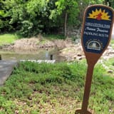 Largo Nature Preserve Loop, Florida - 402 Reviews, Map | AllTrails