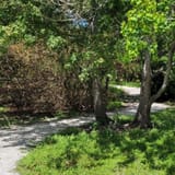 Largo Nature Preserve Loop, Florida - 402 Reviews, Map | AllTrails