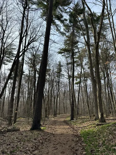 Best Wheelchair Friendly Trails in Springwater Conservation Area ...