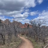 Carpenter Peak Trail, Colorado - 3,341 Reviews, Map | AllTrails