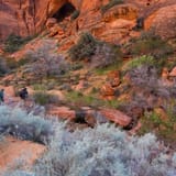 Johnson Canyon Trail, Utah - 973 Reviews, Map | AllTrails
