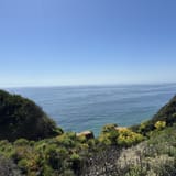 Point Dume Cove Trail, California - 1,719 Reviews, Map | AllTrails