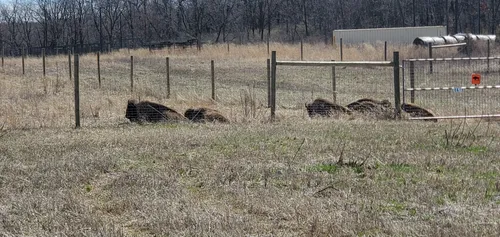 Best Hikes and Trails in Spring Lake Park Preserve | AllTrails