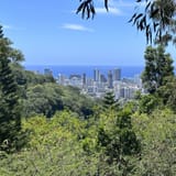Makiki Valley Loop, Oahu, Hawaii - 5,653 Reviews, Map | AllTrails