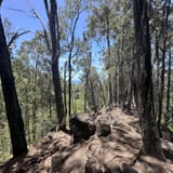 Makiki Valley Loop, Oahu, Hawaii - 5,653 Reviews, Map | AllTrails