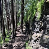 Makiki Valley Loop, Oahu, Hawaii - 5,653 Reviews, Map | AllTrails