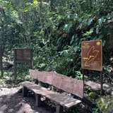 Makiki Valley Loop, Oahu, Hawaii - 5,653 Reviews, Map | AllTrails
