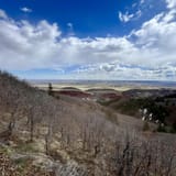 Carpenter Peak Trail, Colorado - 3,341 Reviews, Map | AllTrails