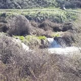 Link River Trail, Oregon - 544 Reviews, Map | AllTrails
