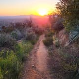 Henninger Flats Trail, California - 2,719 Reviews, Map | AllTrails
