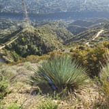 Henninger Flats Trail, California - 2,719 Reviews, Map | AllTrails