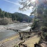 Skookum Flats Trail, Washington - 1,007 Reviews, Map | AllTrails