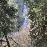 Skookum Flats Trail, Washington - 1,007 Reviews, Map | AllTrails