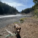 Skookum Flats Trail, Washington - 1,007 Reviews, Map | AllTrails